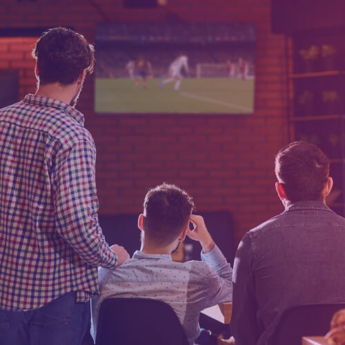 TGM Global Euro Survey 2024 by TGM Research | Football Fan Insights