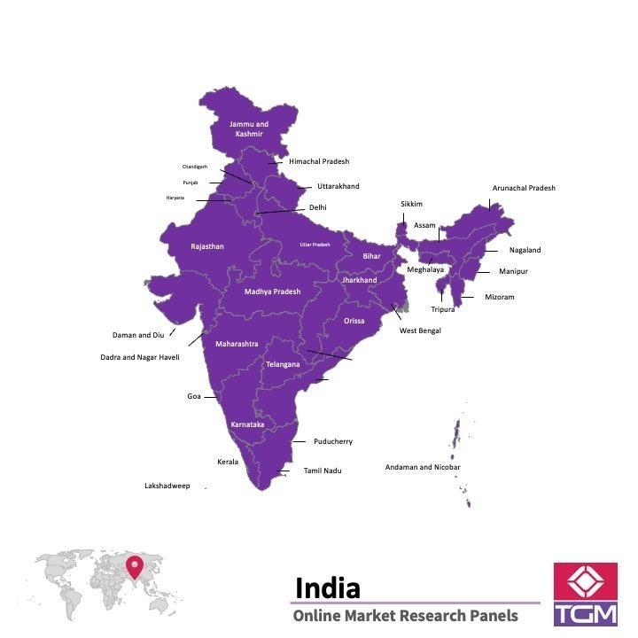 Online Panel in India | Market Research and Online Surveys in India