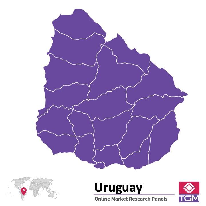 Online Panel in Uruguay | Market Research and Online Surveys in Uruguay