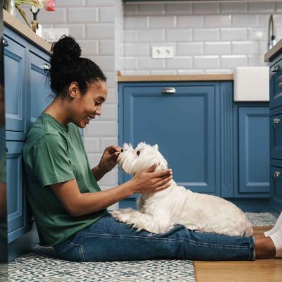 Global Pet Care Trends 2024: Insights for Businesses and Brands