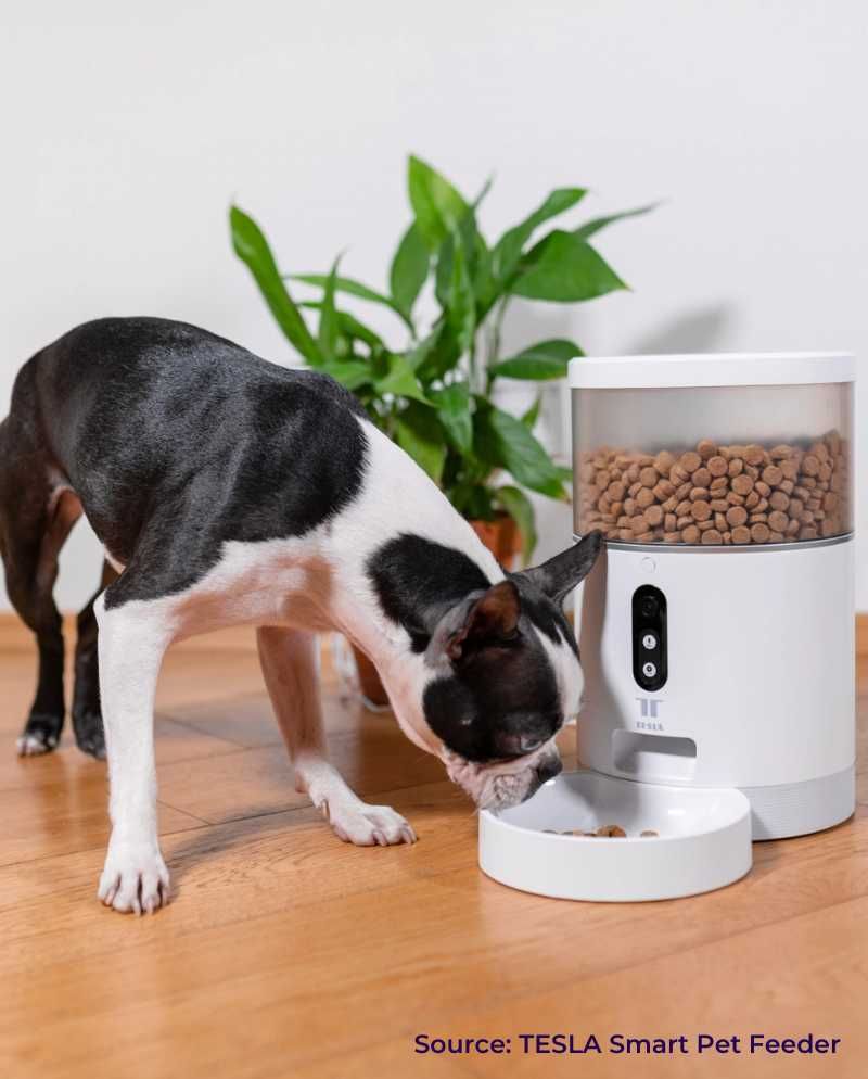 How Pet Technology is Revolutionizing the Pet Care Industry