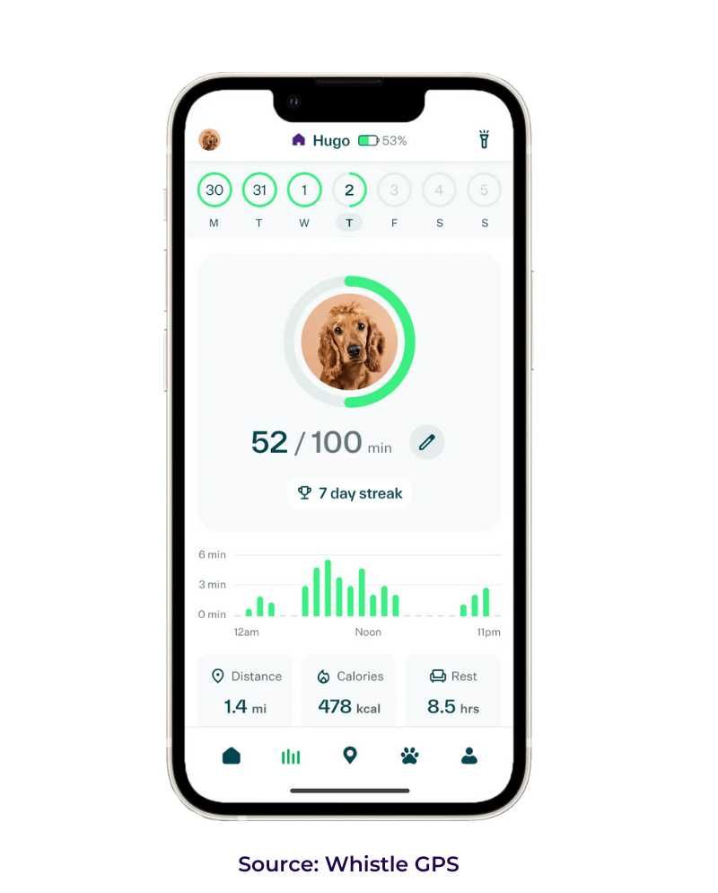 How Pet Technology is Revolutionizing the Pet Care Industry