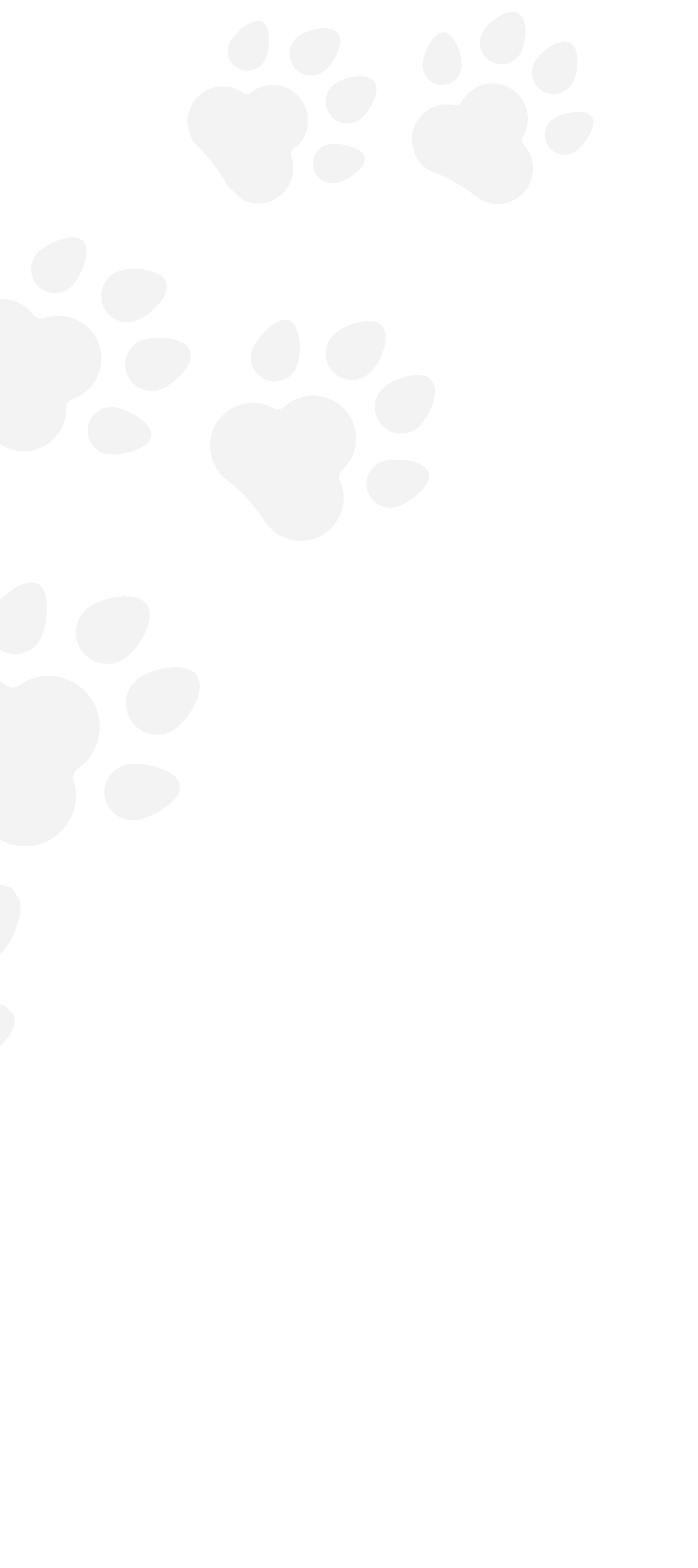 India Pet Humanization Insights 2024 | Consumer Behavior and Trends