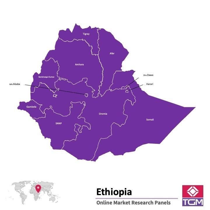 Online Panel in Ethiopia | Market Research and Online Surveys in Ethiopia