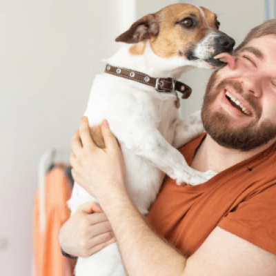 Global Pet Care Trends 2024: Insights for Businesses and Brands