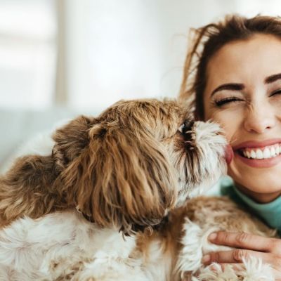 Global Pet Care Trends 2024: Insights for Businesses and Brands
